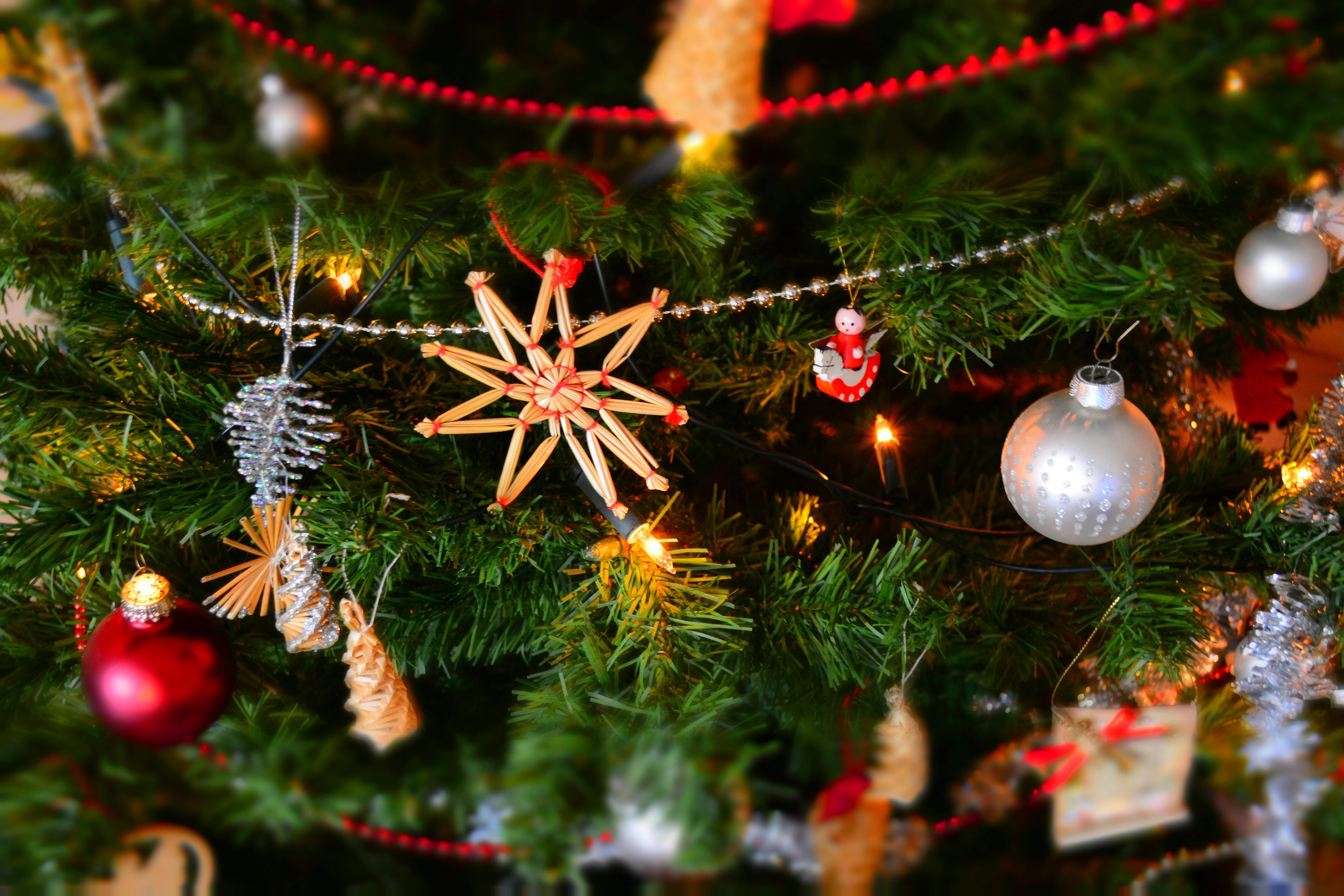 Wishing Merry Christmas in Macedonian – Macedonian Language Corner